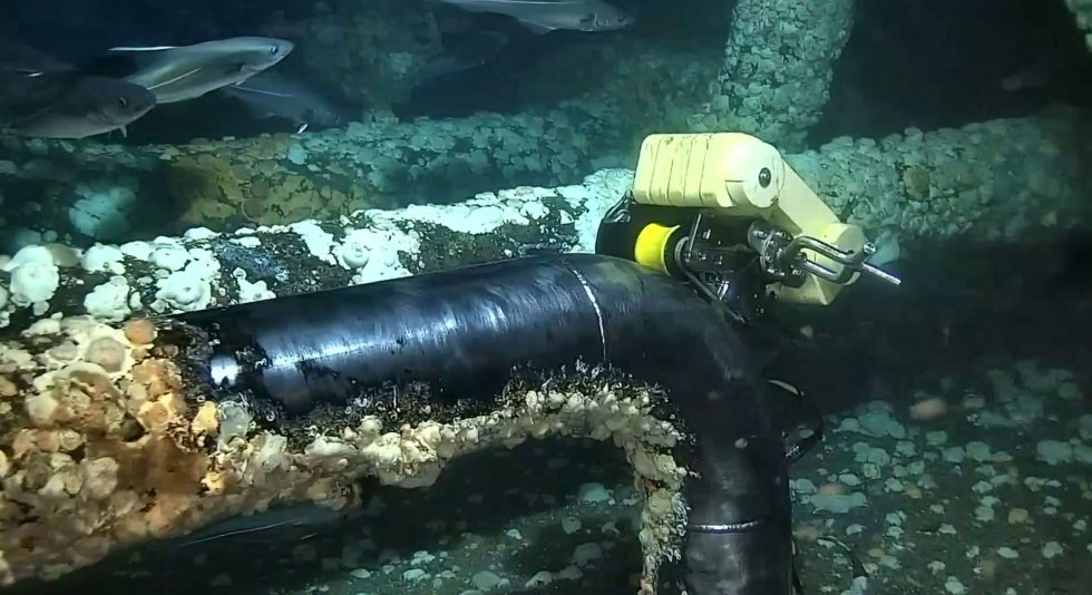 Subsea Inspection Services with Advanced NDT - TSC Subsea